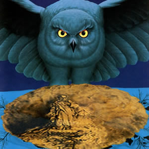 Rush Album Cover Fly By Night